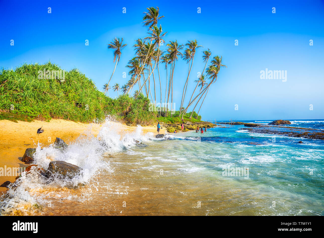 beautiful landscape with beach Stock Photo - Alamy