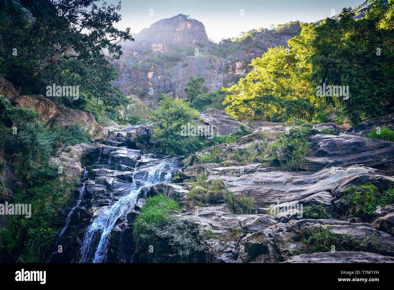Sri lanka river hi-res stock photography and images - Alamy