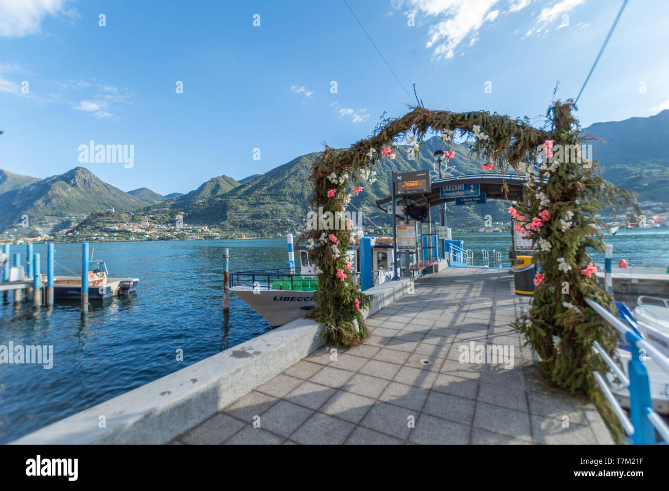 Monte isola flower hi-res stock photography and images - Alamy