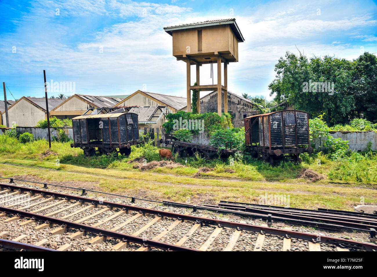 Old rail wagons hi-res stock photography and images - Alamy