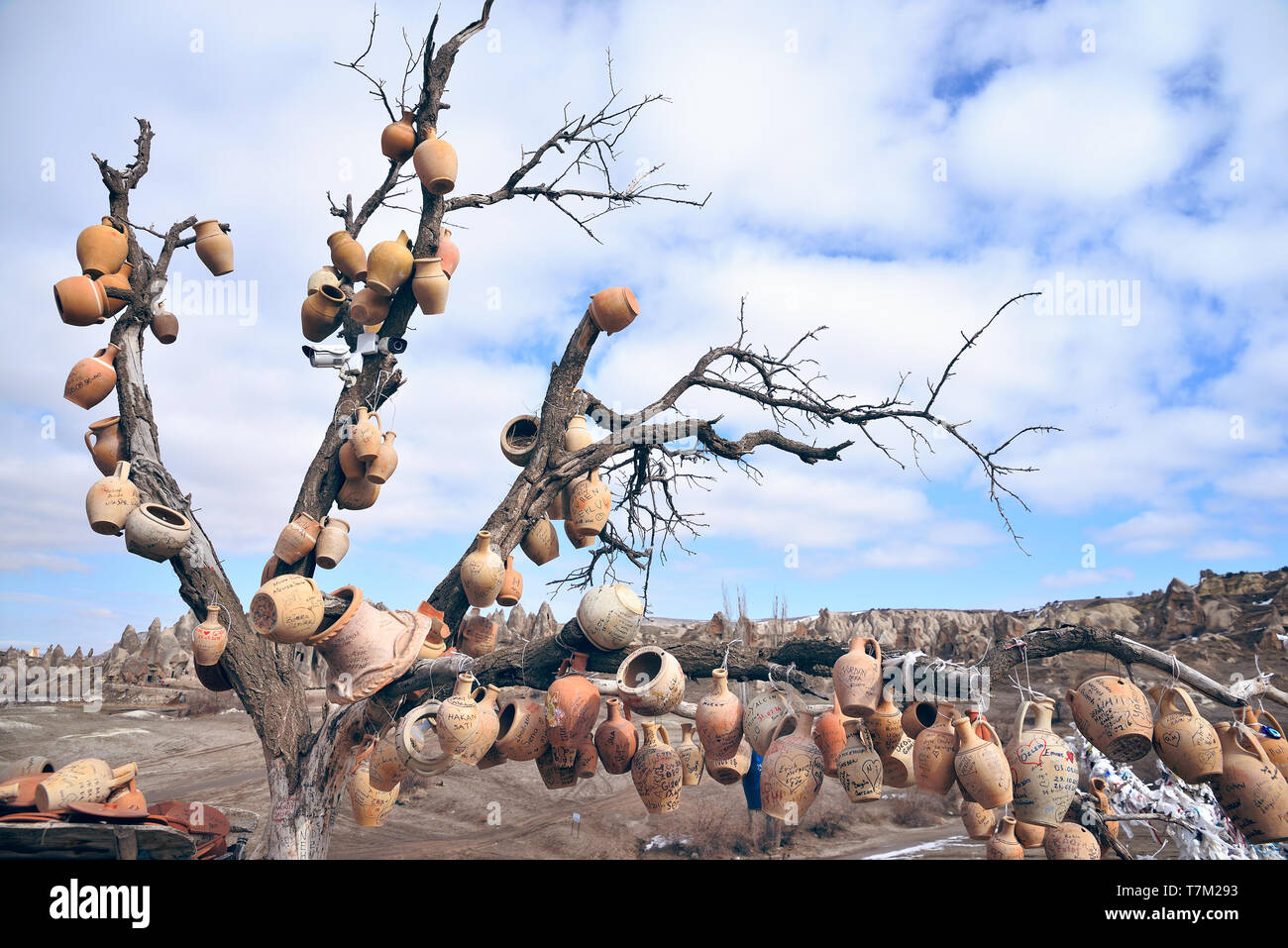 Pottery on a tree Stock Photo - Alamy