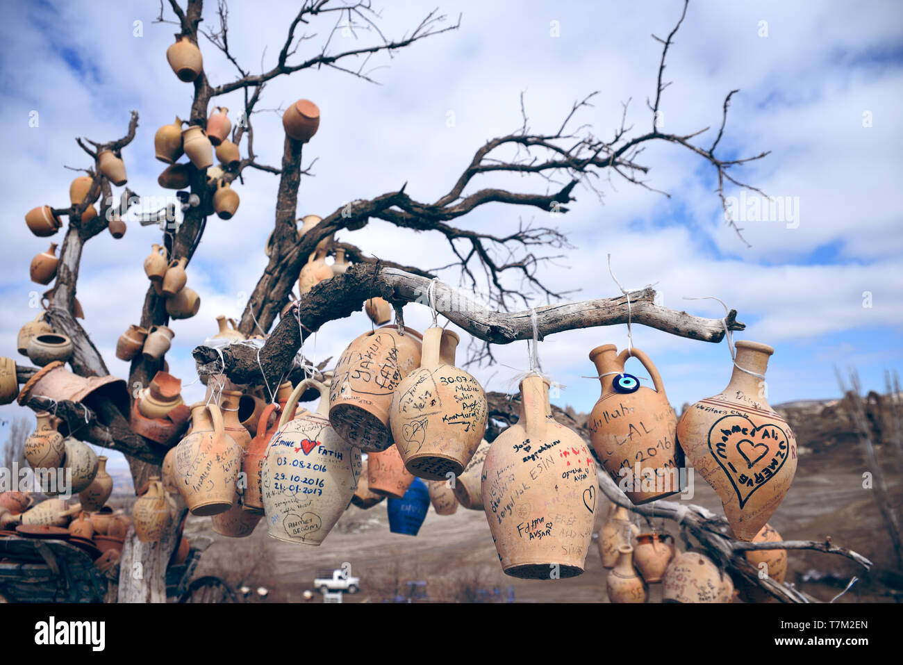 Pottery on a tree Stock Photo - Alamy
