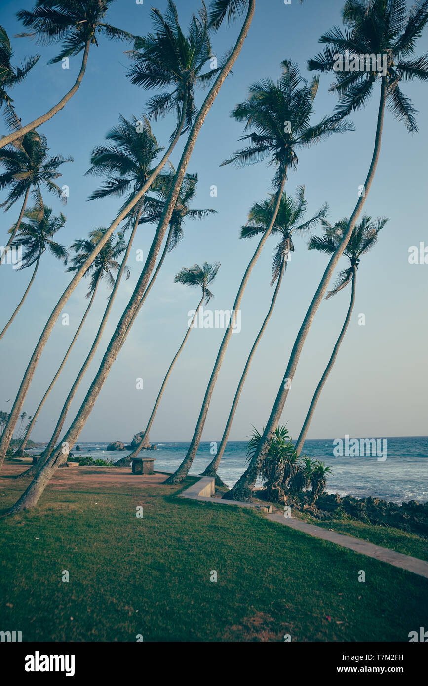 Beautiful summer beach landscape hi-res stock photography and images ...