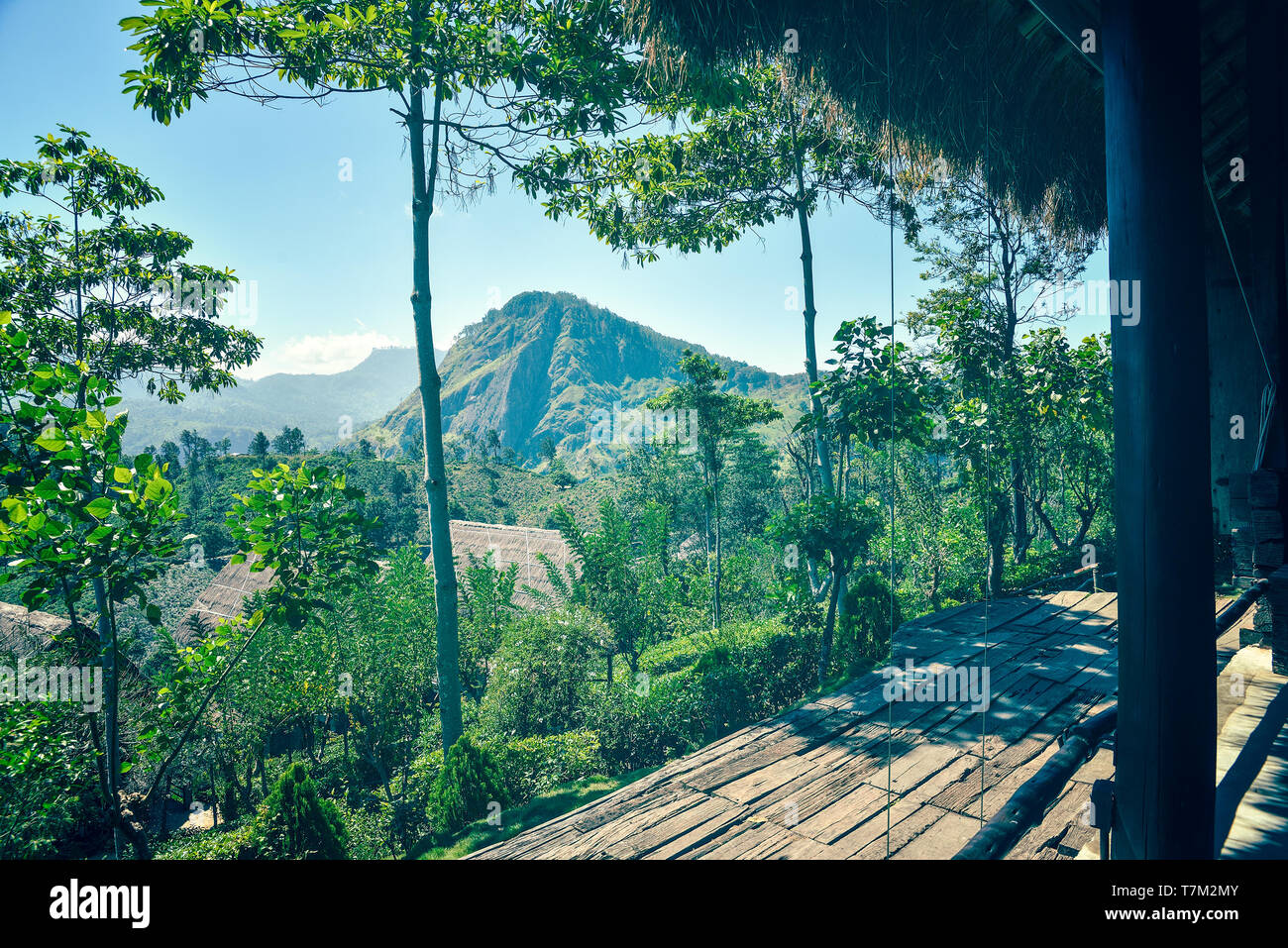 Beautiful landscape greenery bush hi-res stock photography and images ...