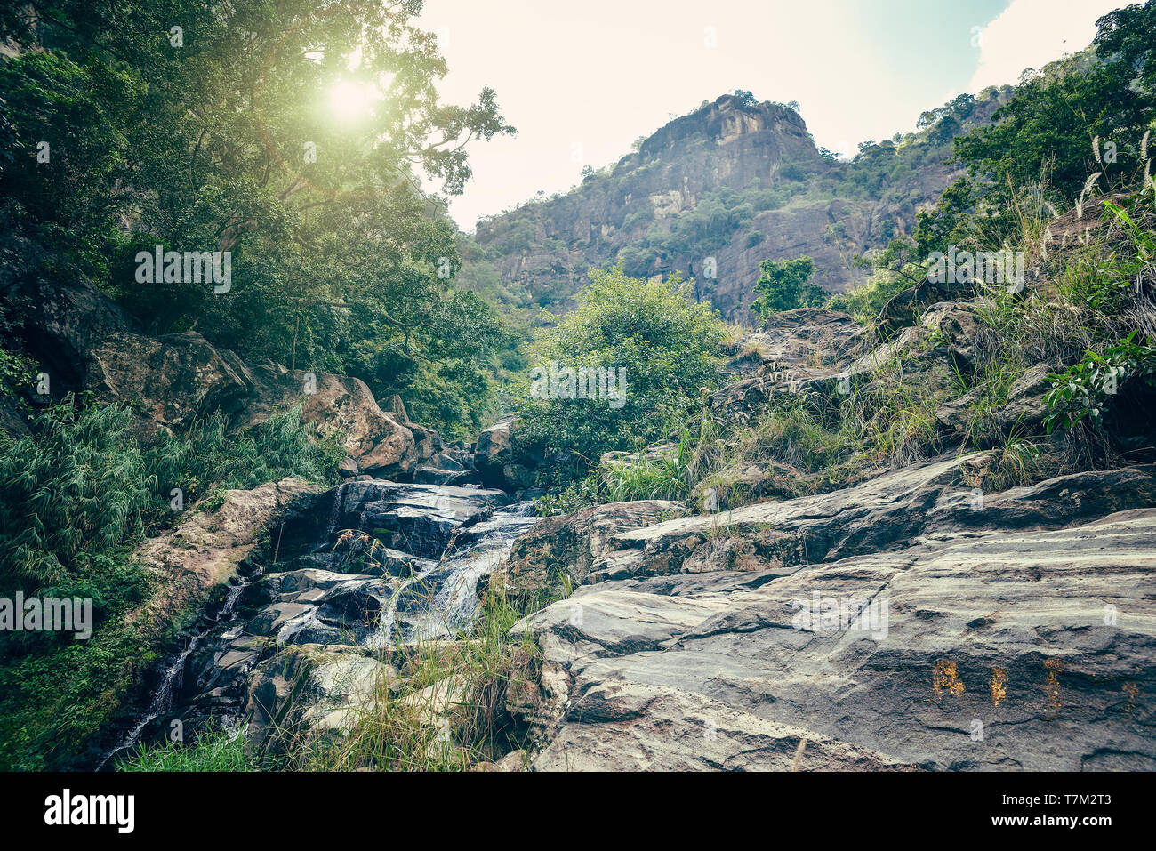 Ella sri lanka forest in hi-res stock photography and images - Alamy