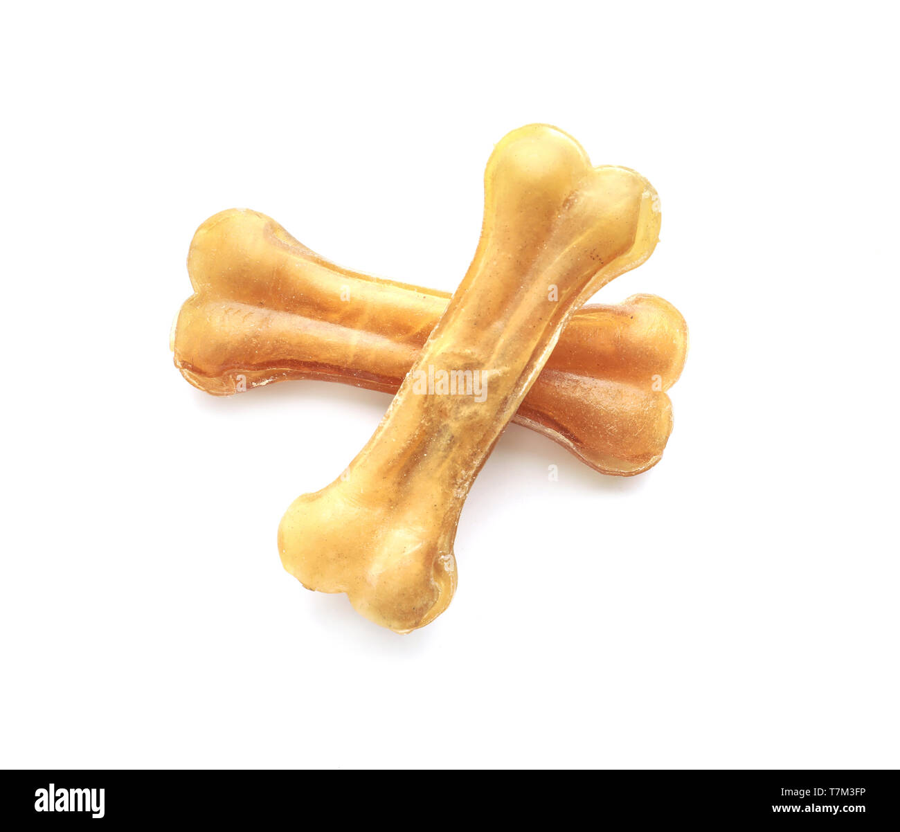 Domestic animal bones Cut Out Stock Images & Pictures - Alamy
