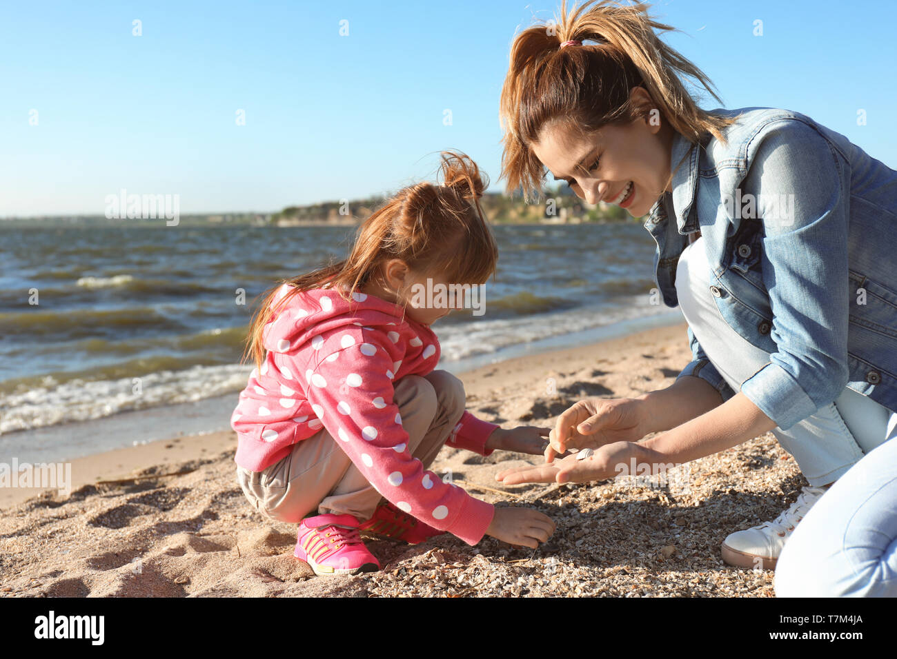 Gathering Shells High Resolution Stock Photography and Images - Alamy