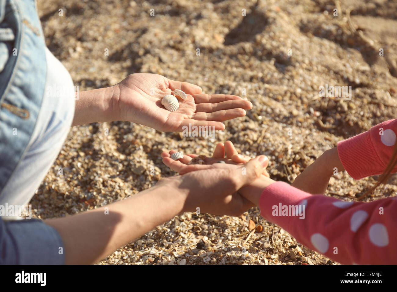 Gathering shells hi-res stock photography and images - Alamy