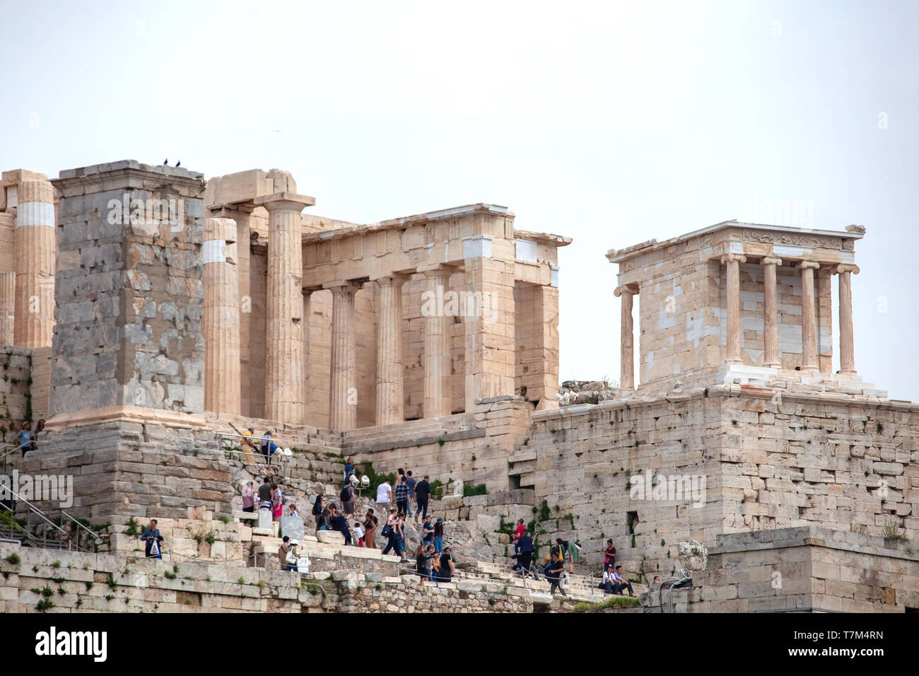 Parthenon temple in Acropolis at Athens, center on Athens, Greece Stock ...