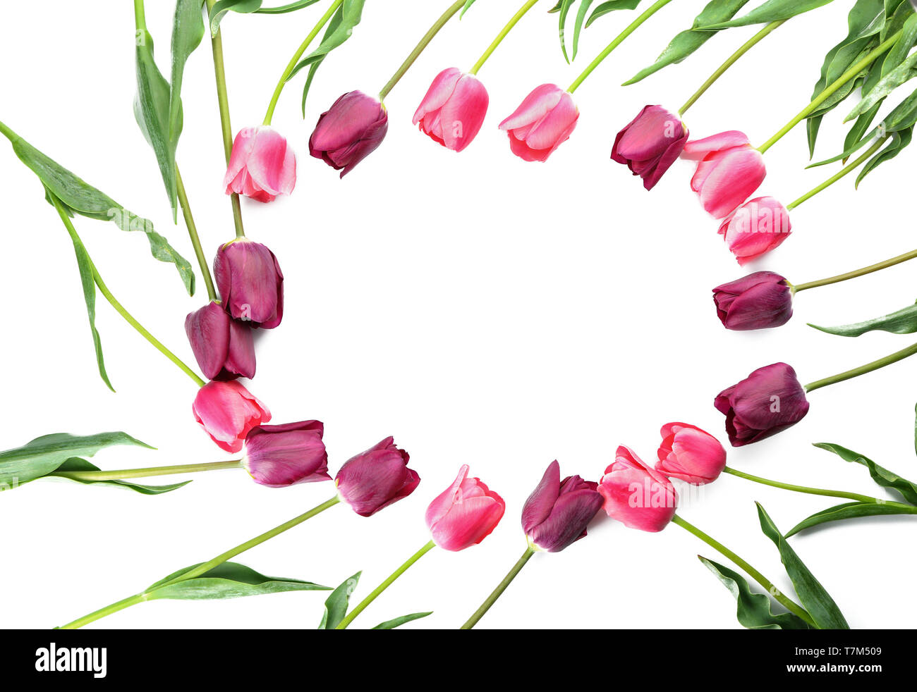 Frame made of beautiful tulips on white background Stock Photo - Alamy