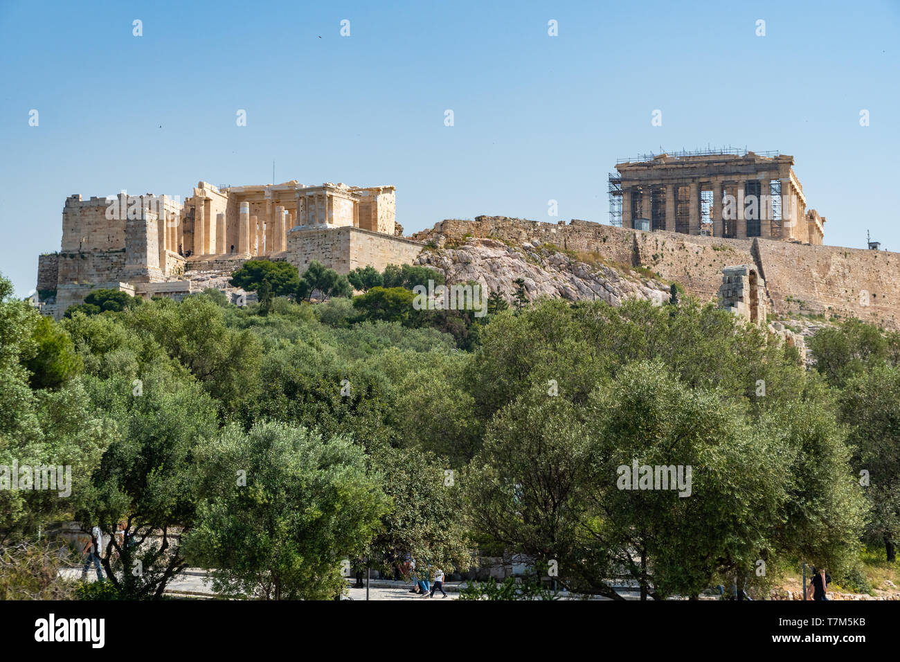 Parthenon temple in Acropolis at Athens, center on Athens, Greece Stock ...