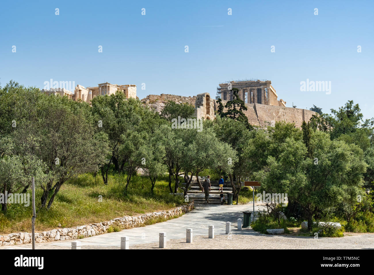 Parthenon temple in Acropolis at Athens, center on Athens, Greece Stock ...