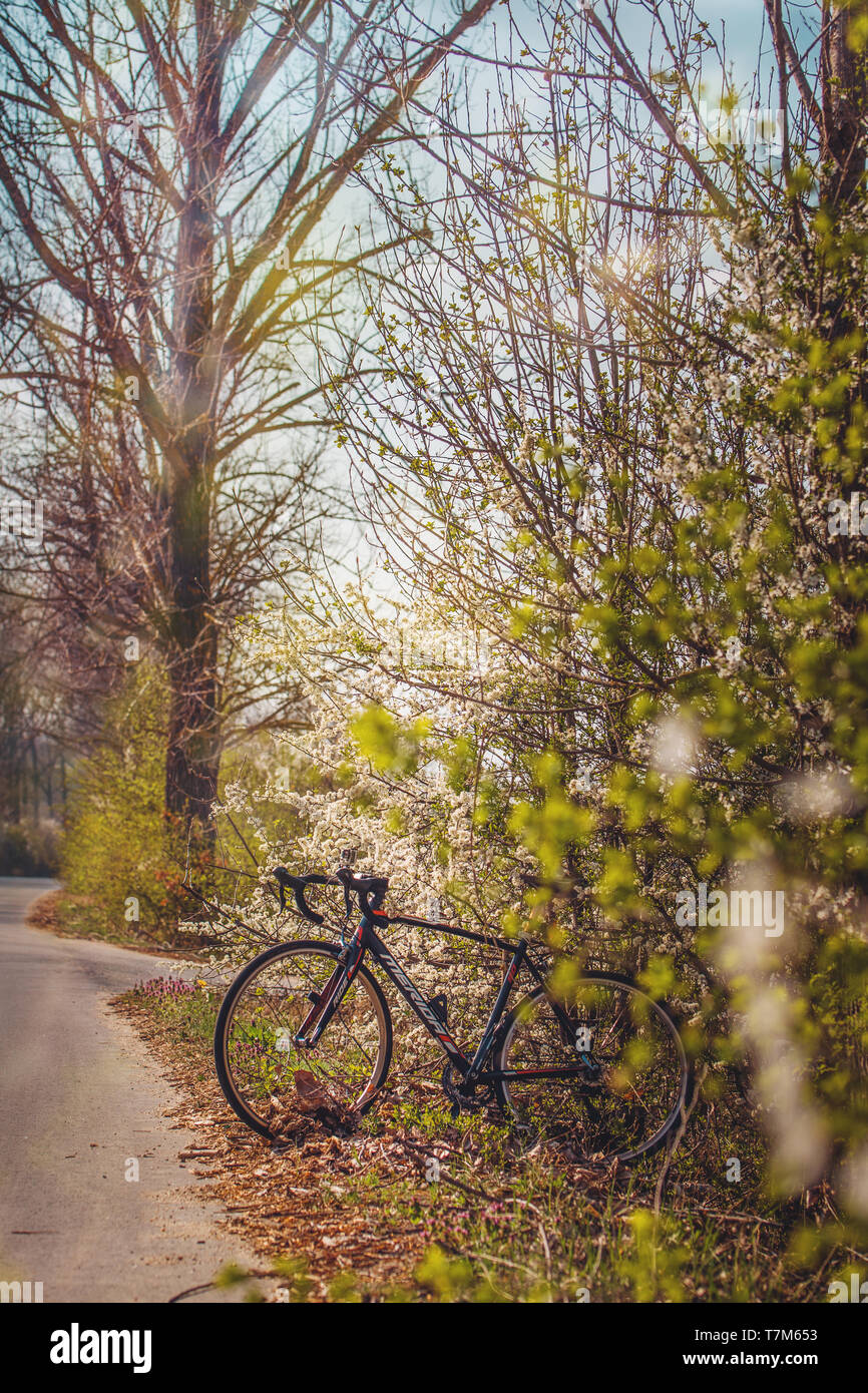 Spring cycling in Romania Stock Photo - Alamy