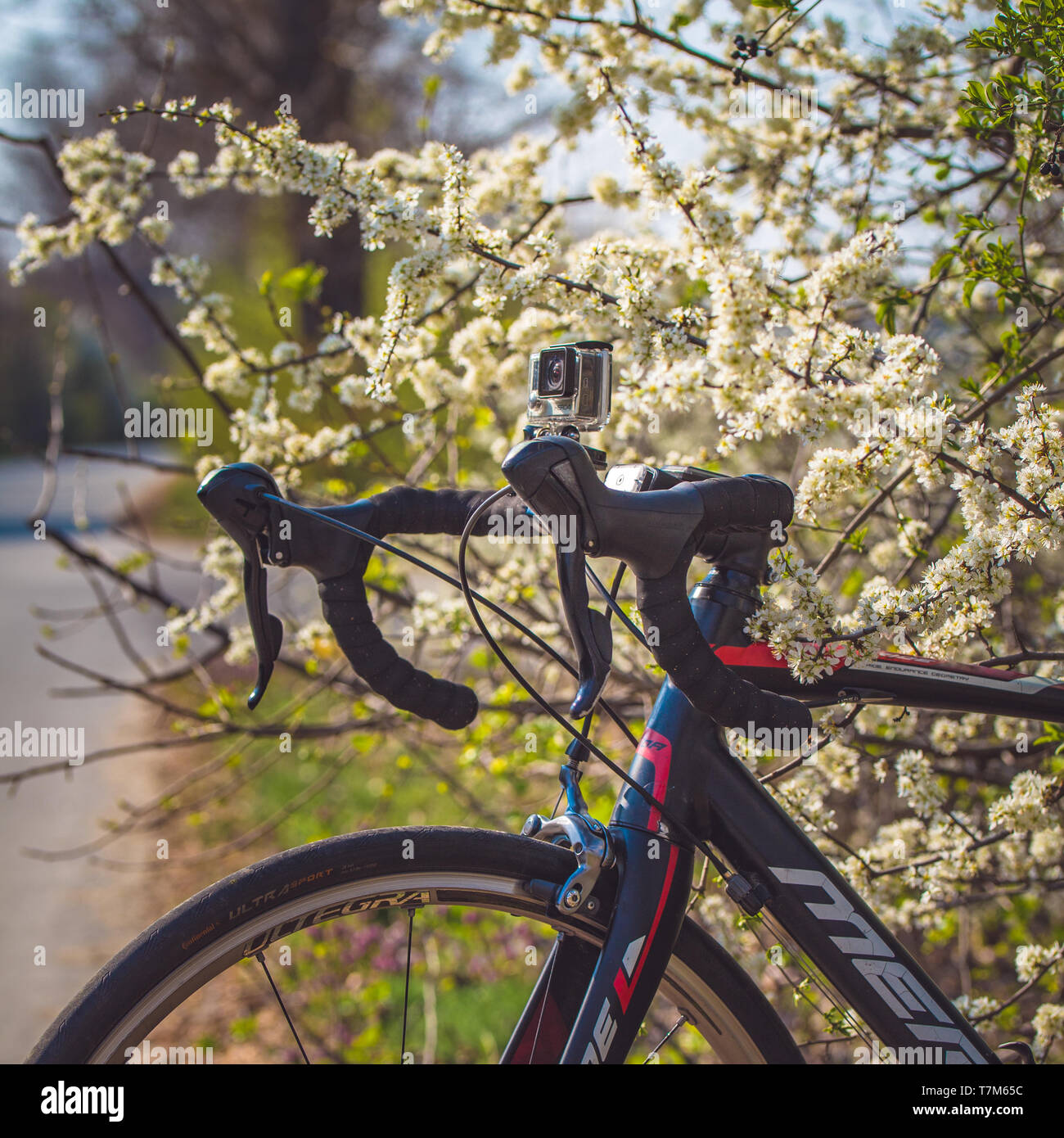 Spring cycling in Romania Stock Photo - Alamy