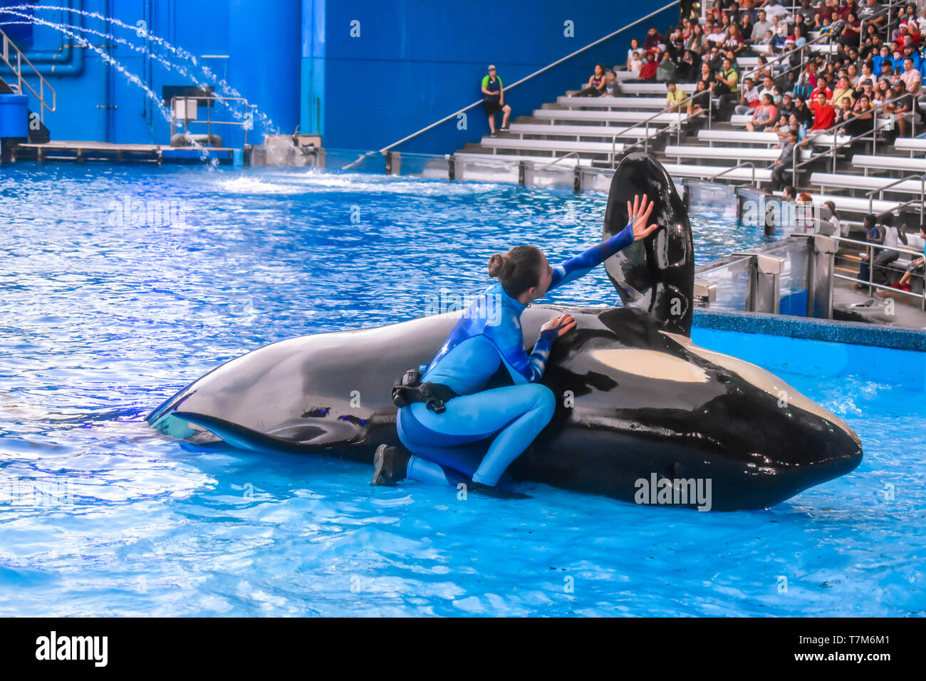 Orlando, Florida. January 01, 2019 . People waiting for the start of ...