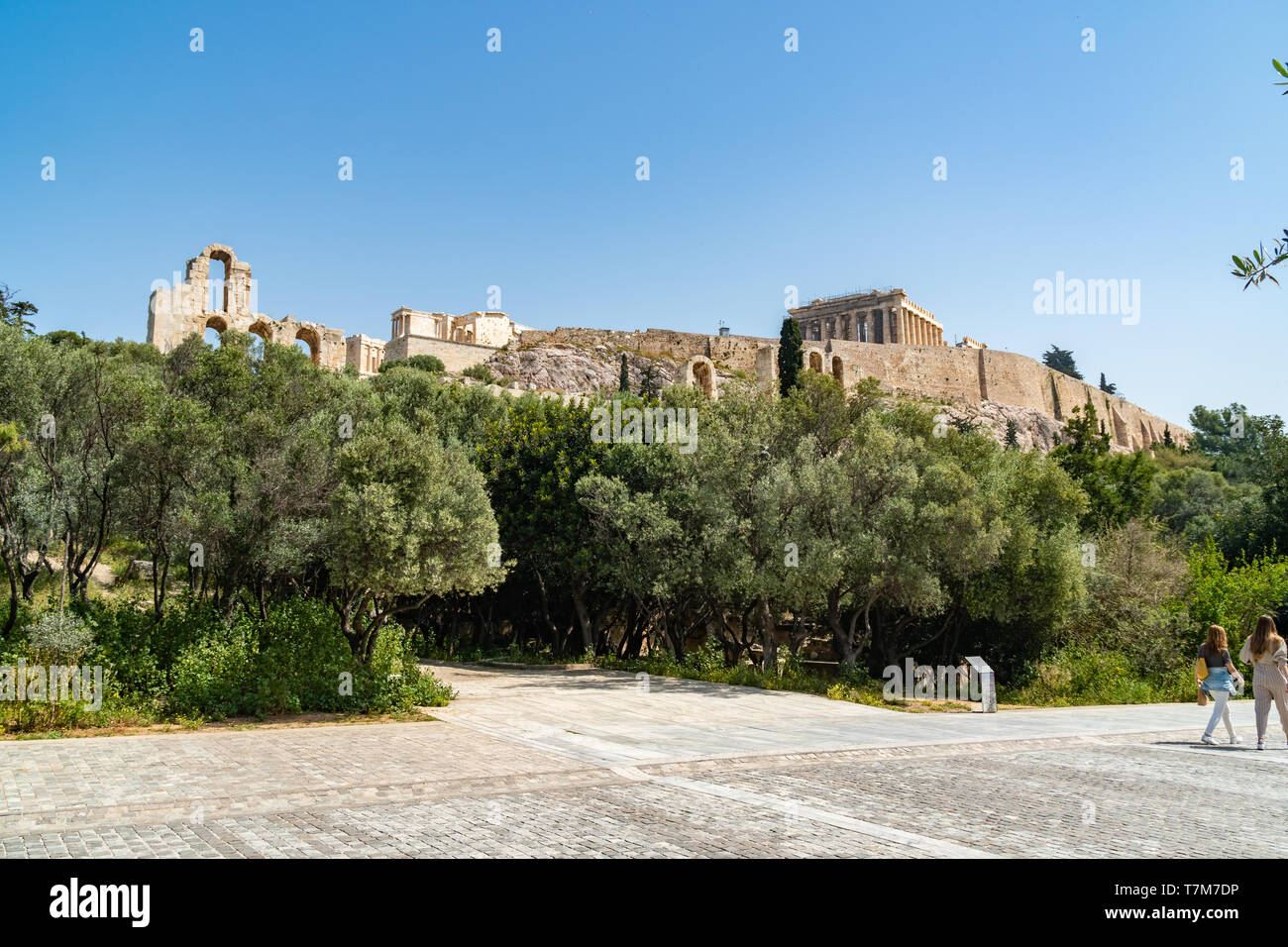 Parthenon temple in Acropolis at Athens, center on Athens, Greece Stock ...