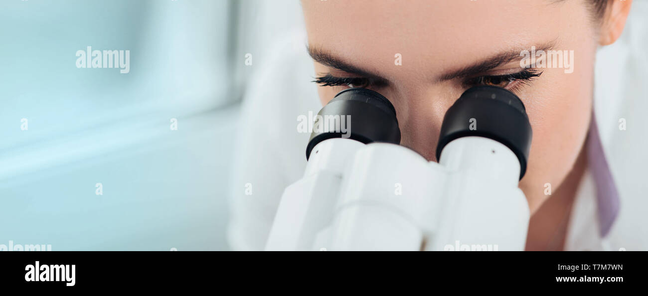 Scientist with microscope hi-res stock photography and images - Alamy