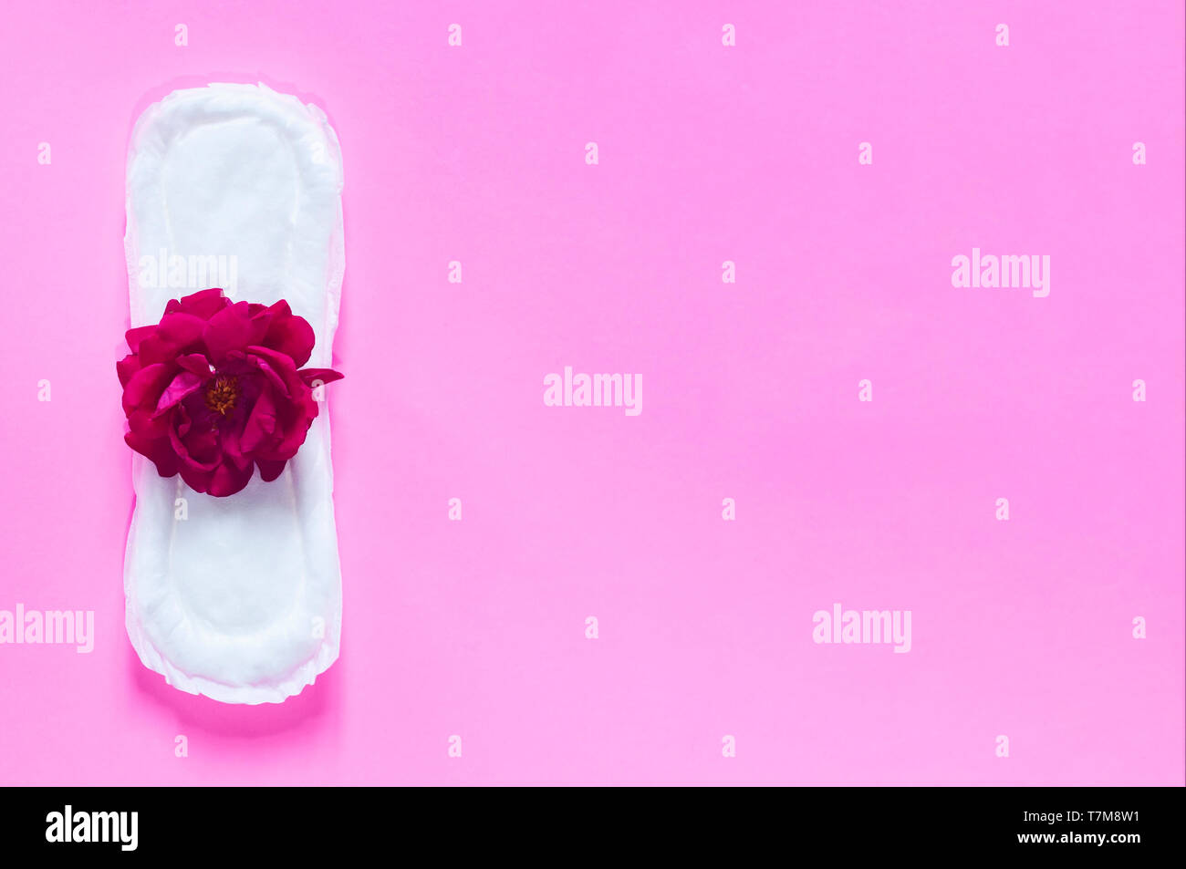 Sanitary napkin with red rose on it. On the bright pink background ...