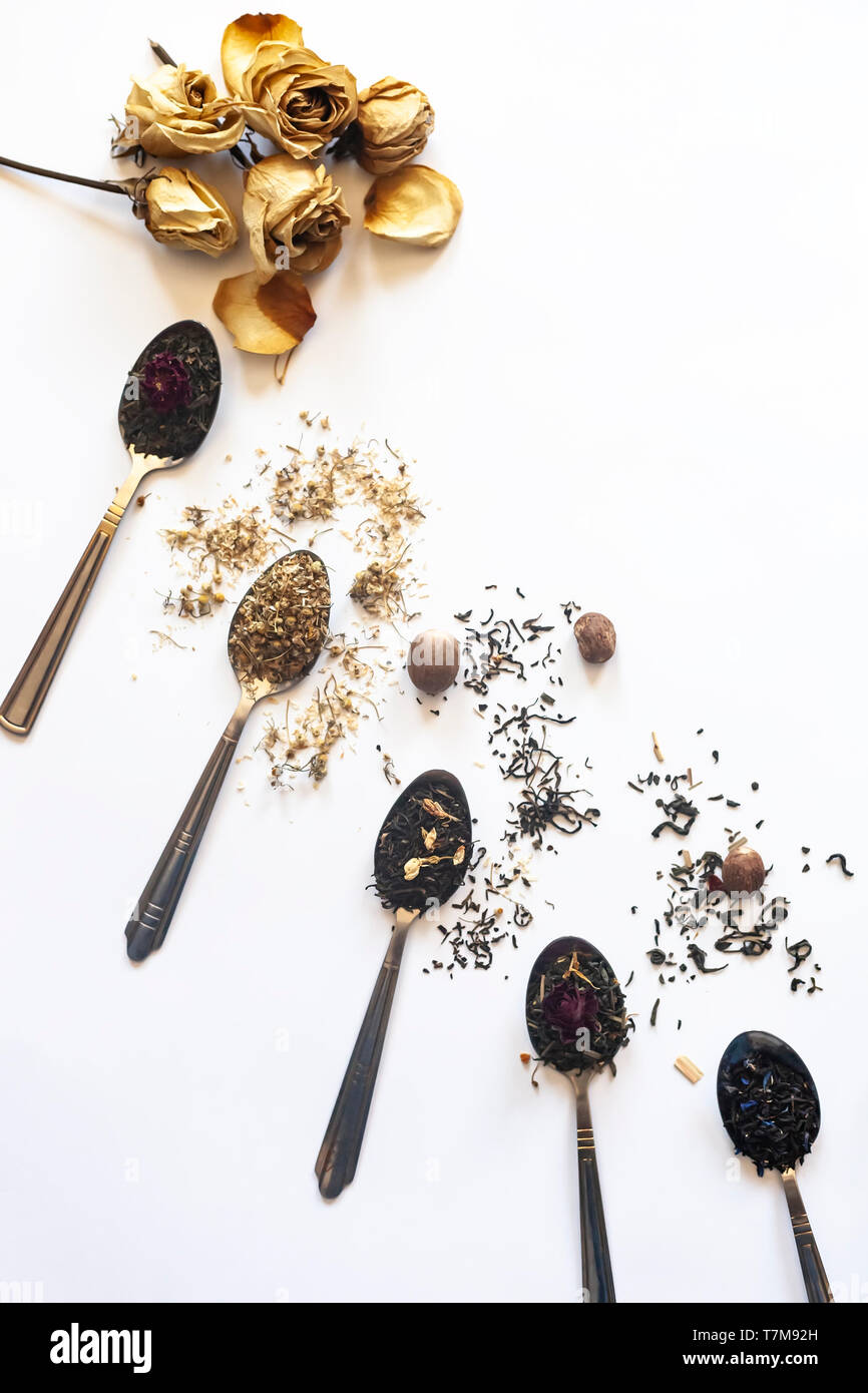 The assortment of dry tea. Different types of herbal tea for wellness ...