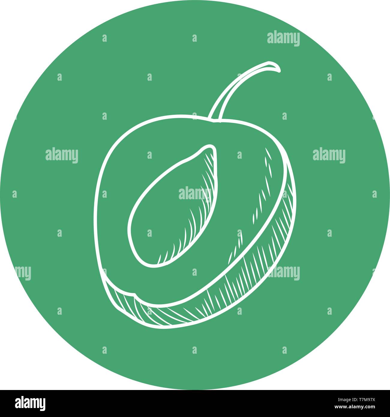 Fresh fruit nutrition healthy peach round frame Stock Vector Image ...