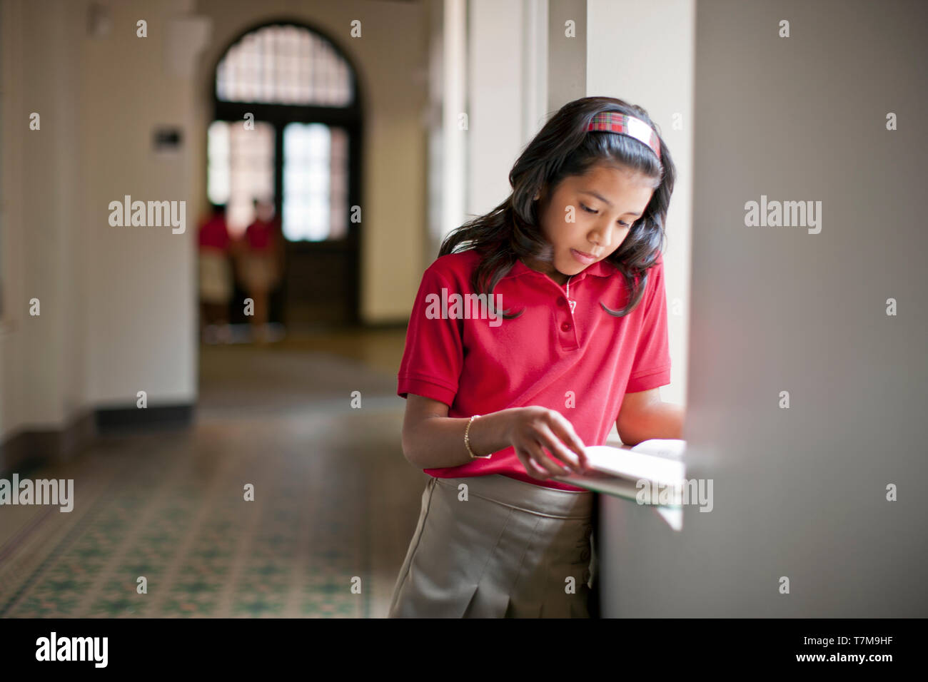 Young girl intensely reading a book Stock Photo - Alamy
