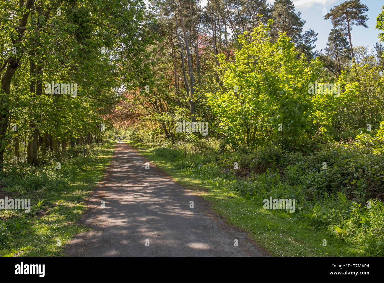 Fullerton woods hi-res stock photography and images - Alamy