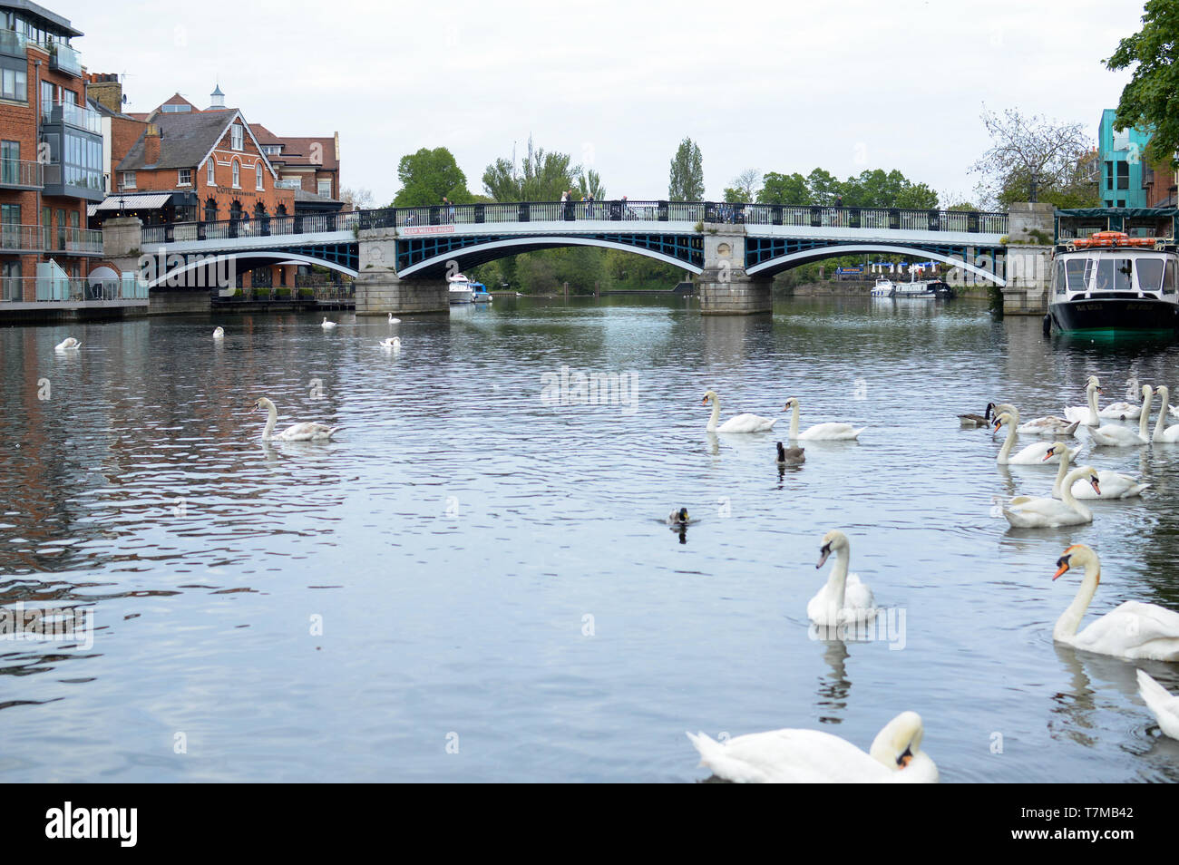 Windsor riverside hi-res stock photography and images - Alamy