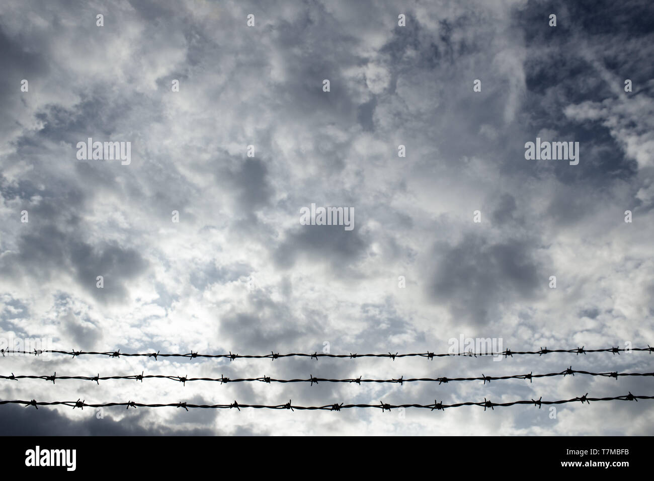 Three strands of barbed wire across lower part of image against ...