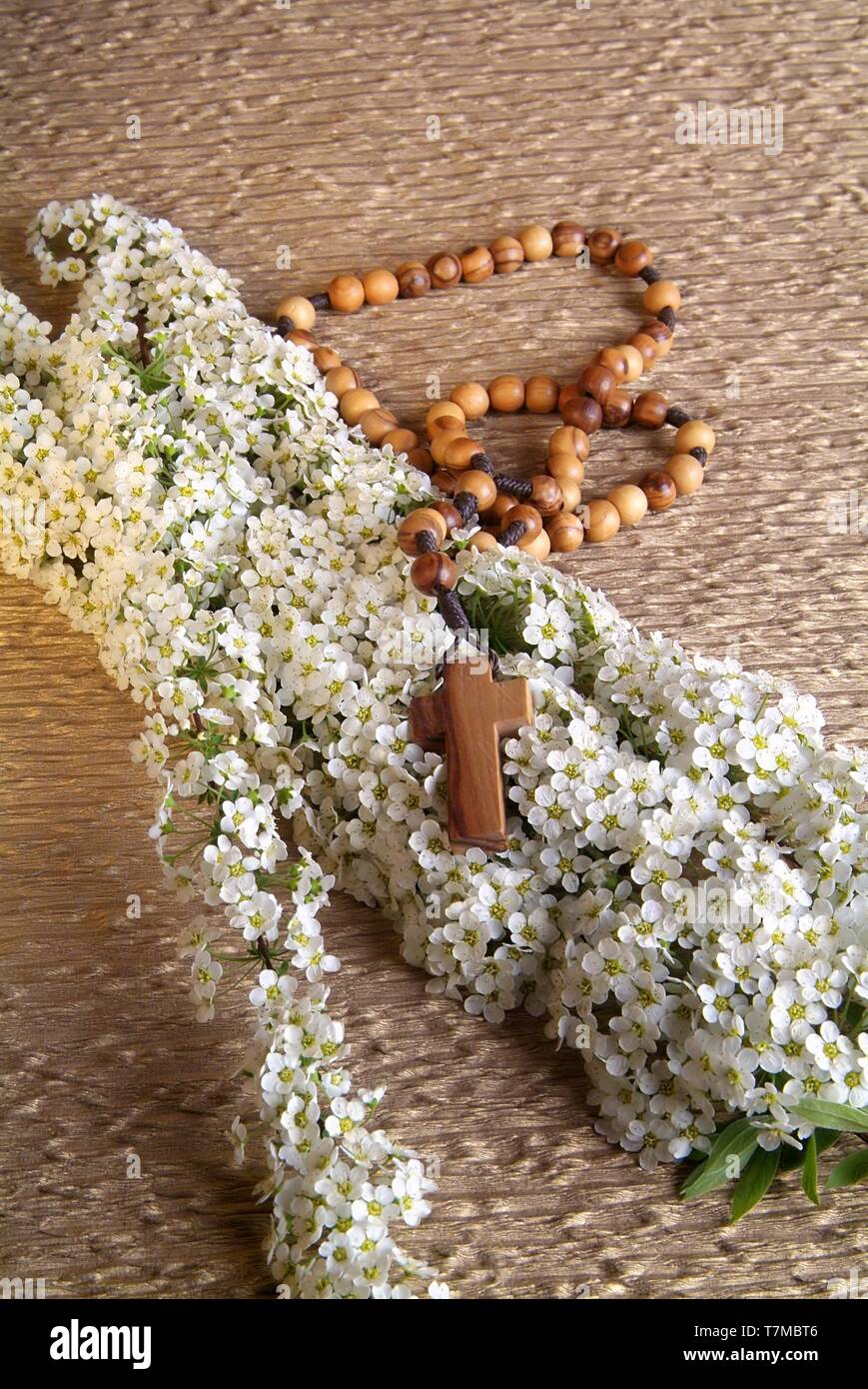 Silhouette of human praying to the GOD while holding a crucifix symbol ...