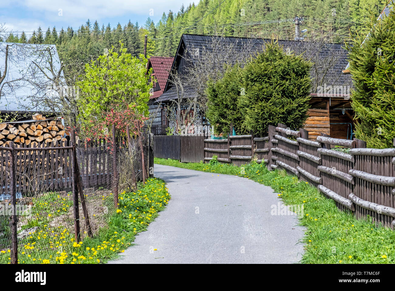 Painted folk houses, Cicmany village, Slovak republic. Architectural ...