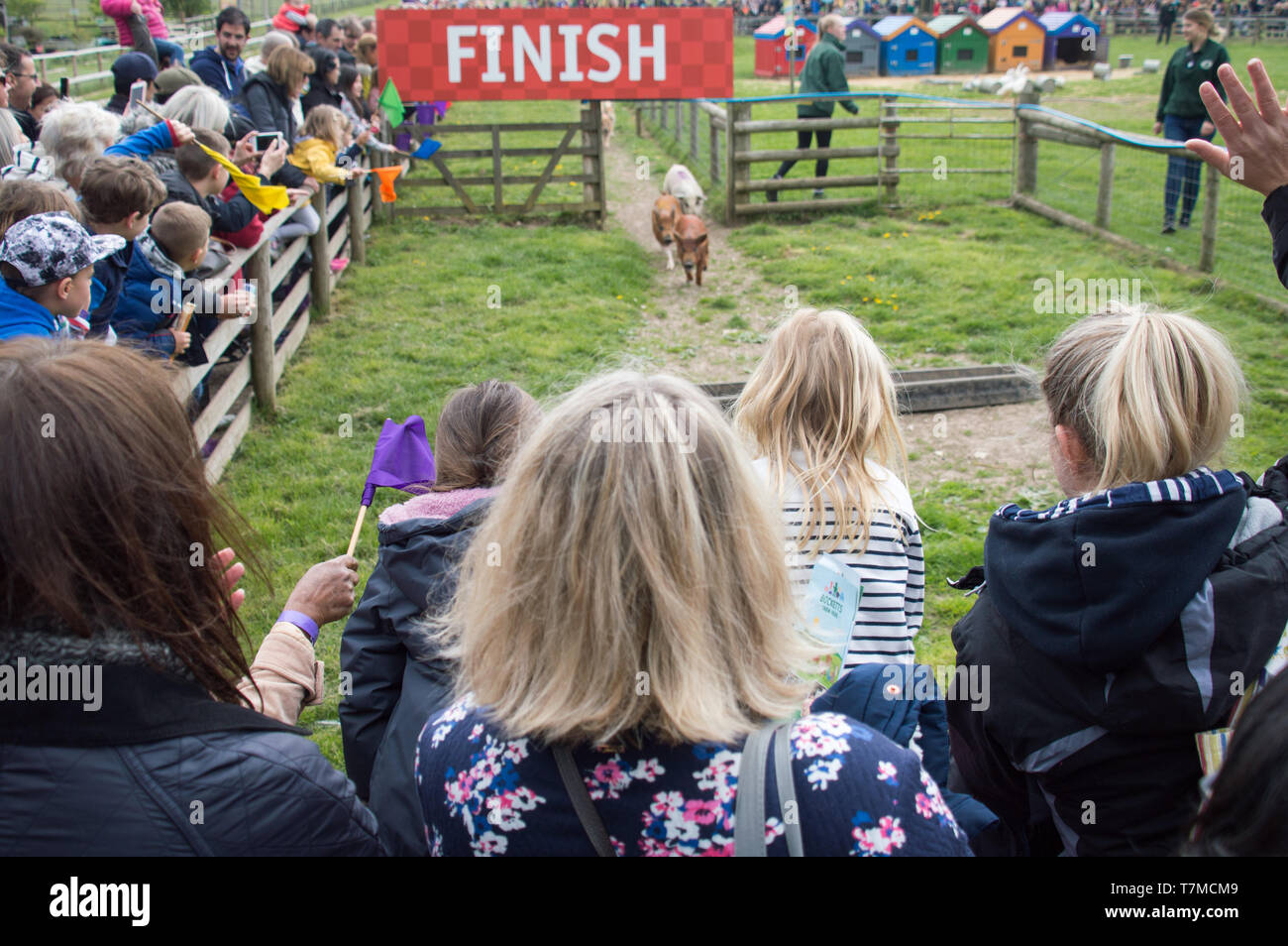 Viewers near finish line Stock Photo - Alamy