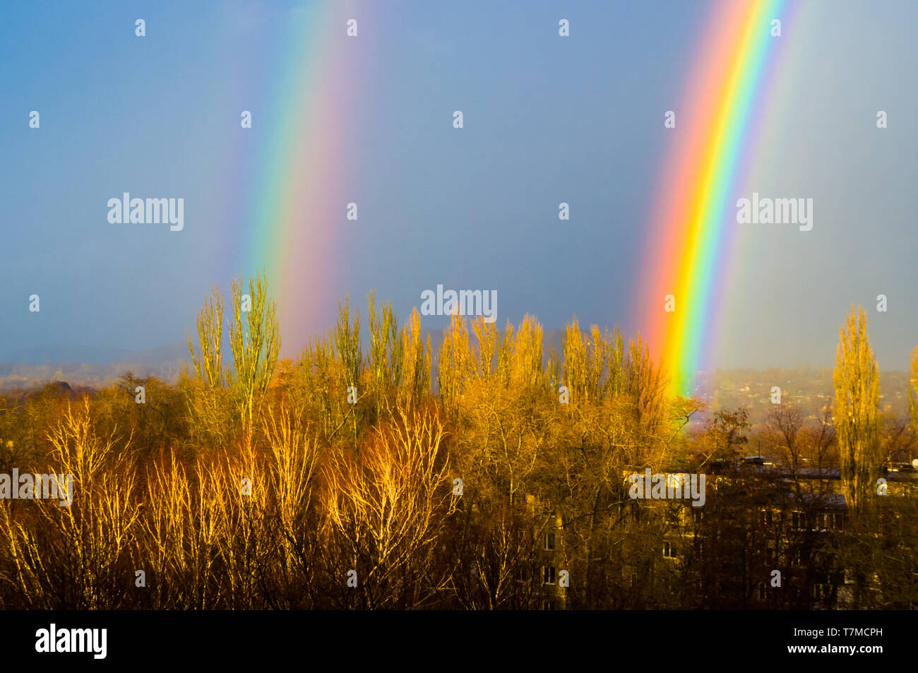 Natural double rainbow over green trees, city landscape Stock Photo - Alamy