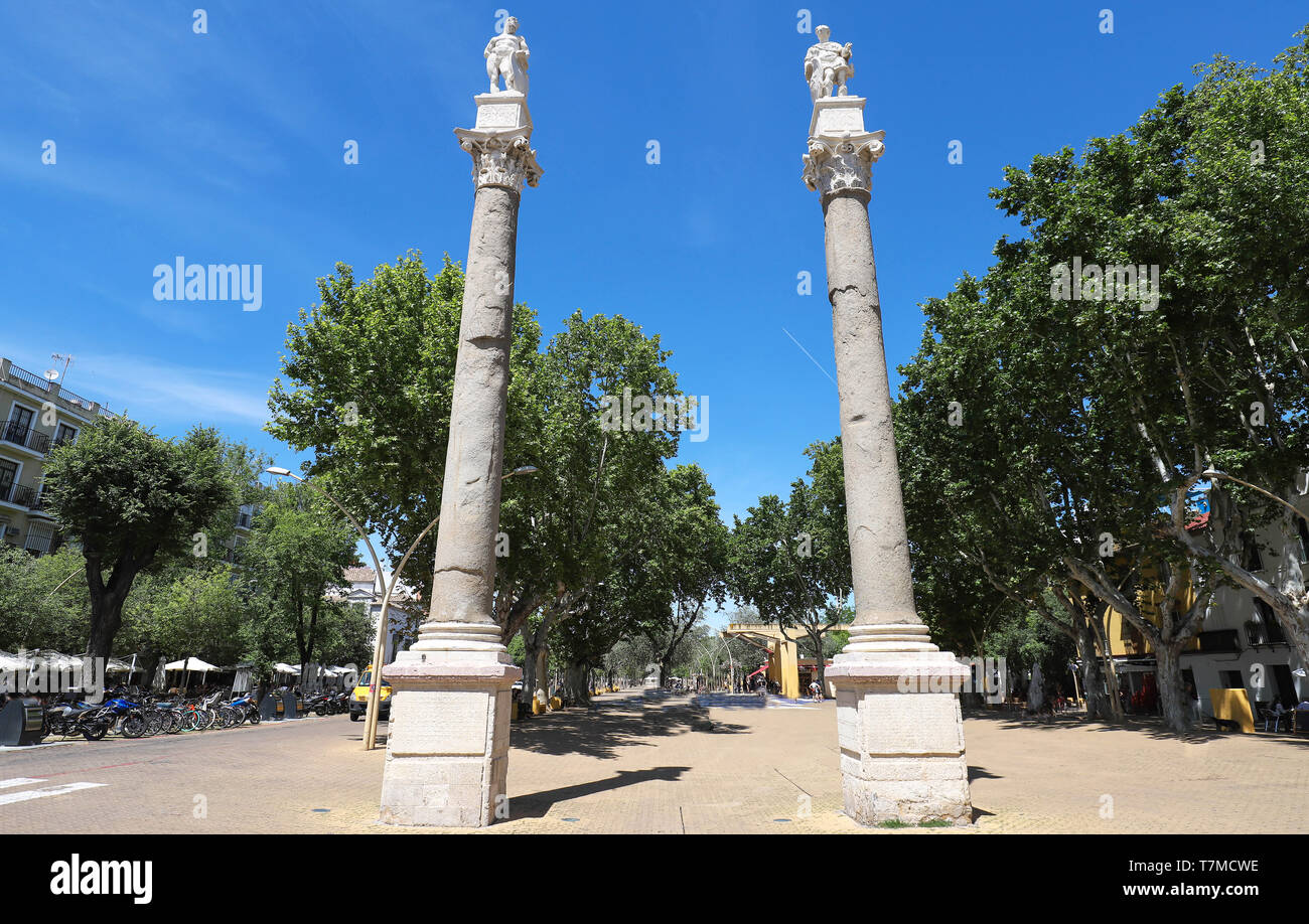 A view of Alameda de Hercules columns , in Seville, Spain Stock Photo ...