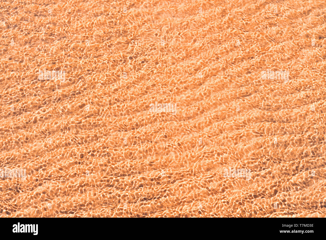 Shallow water at sandy sea coast with sun light into water close up ...