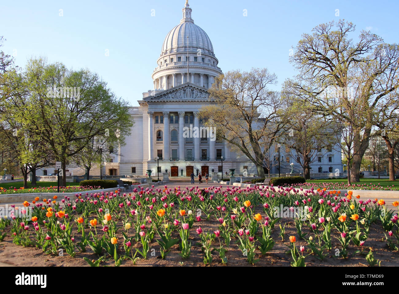 Wisconsin State Capitol building spring view with flower bed with ...