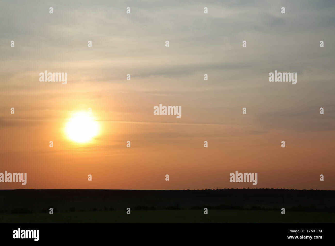 Beautiful landscape with green field in spring evening Stock Photo - Alamy