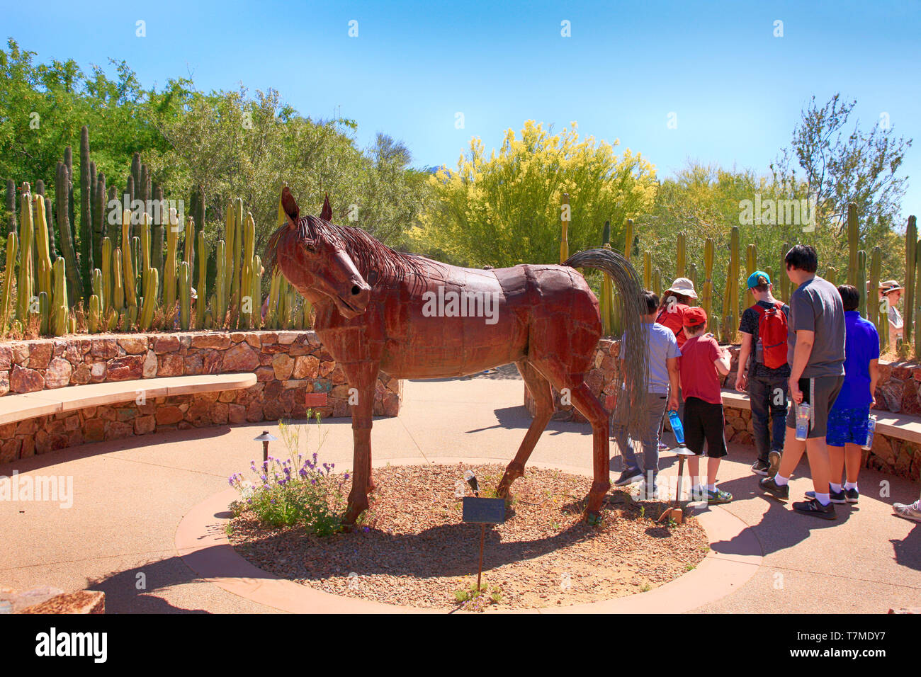 People viewing the metal sculpture of a horse in the Cactus Courtyard ...