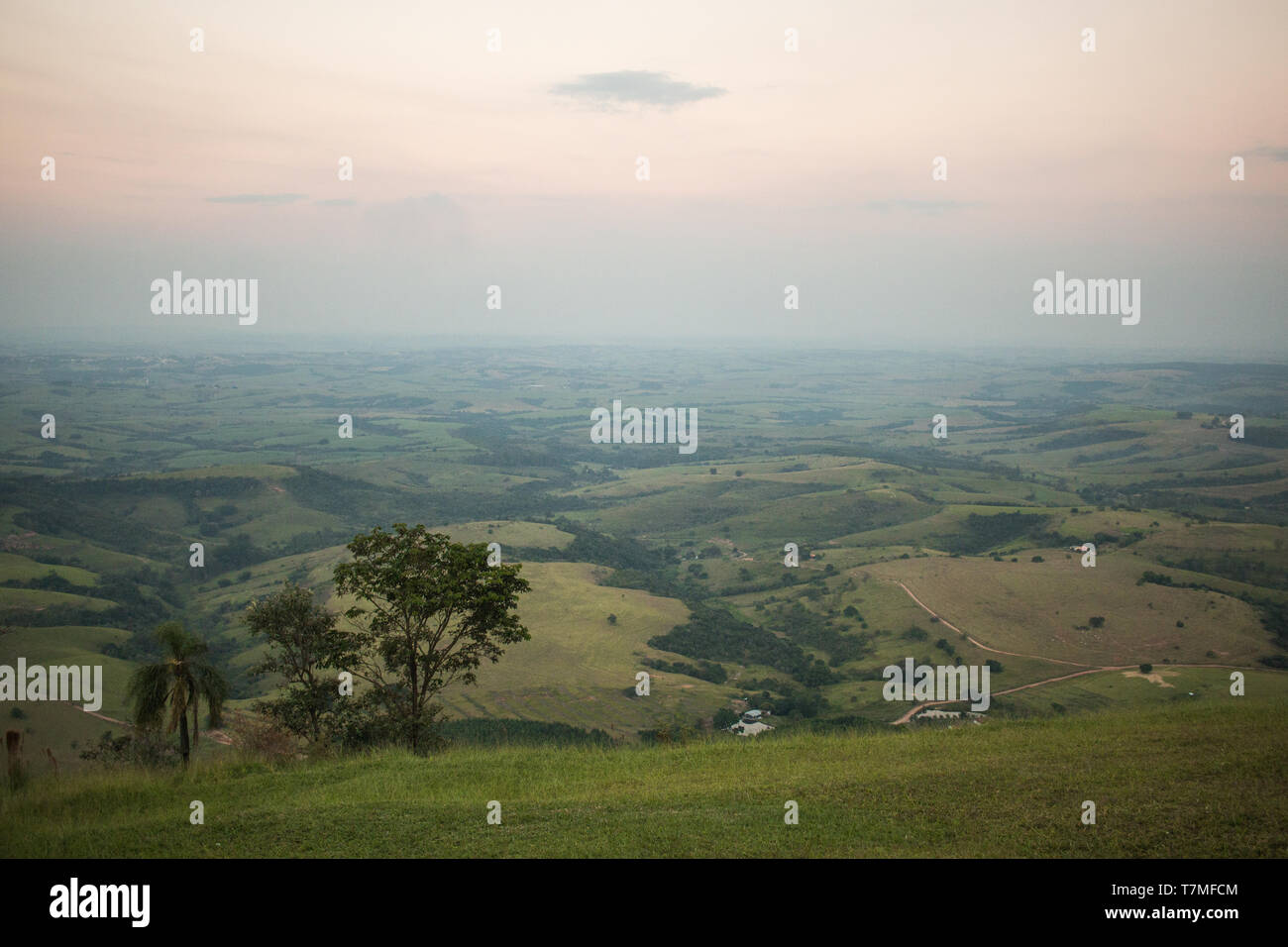 various food dishes, pizza, sphirra, snacks and various Stock Photo - Alamy
