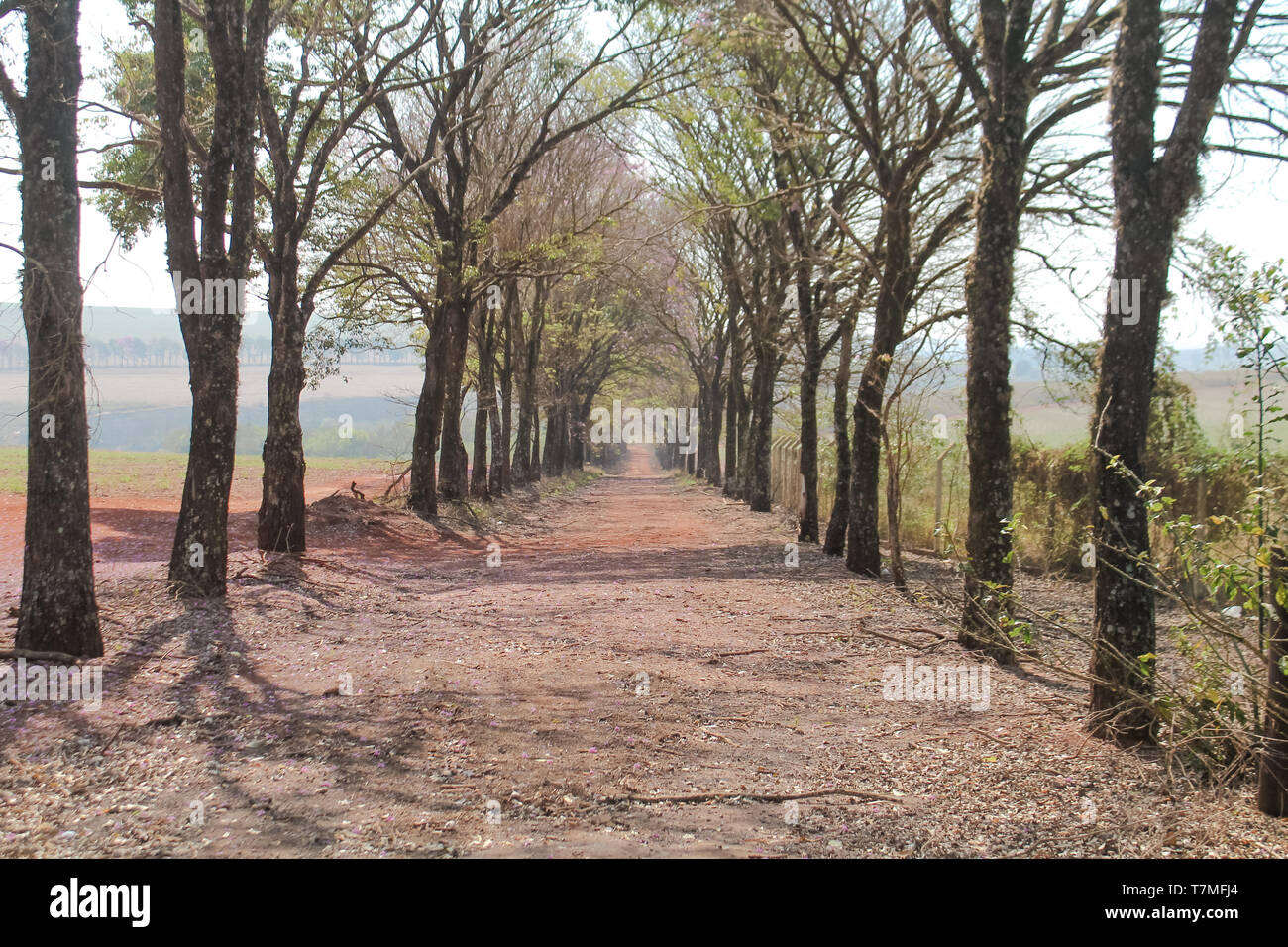 Walking with snacks hi-res stock photography and images - Alamy