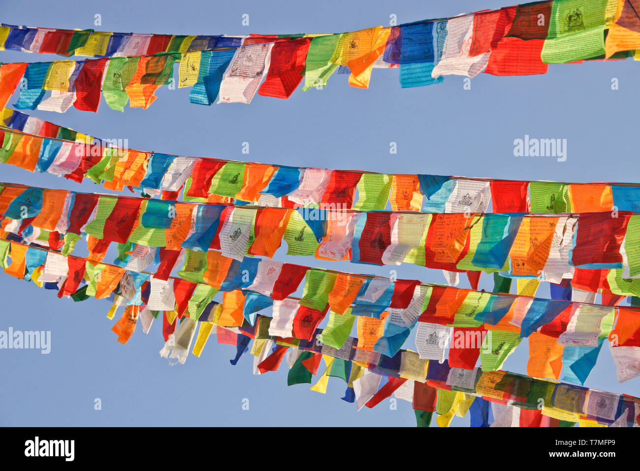 Colorful Tibetan prayer flags flying at Buddhist stupa Stock Photo - Alamy