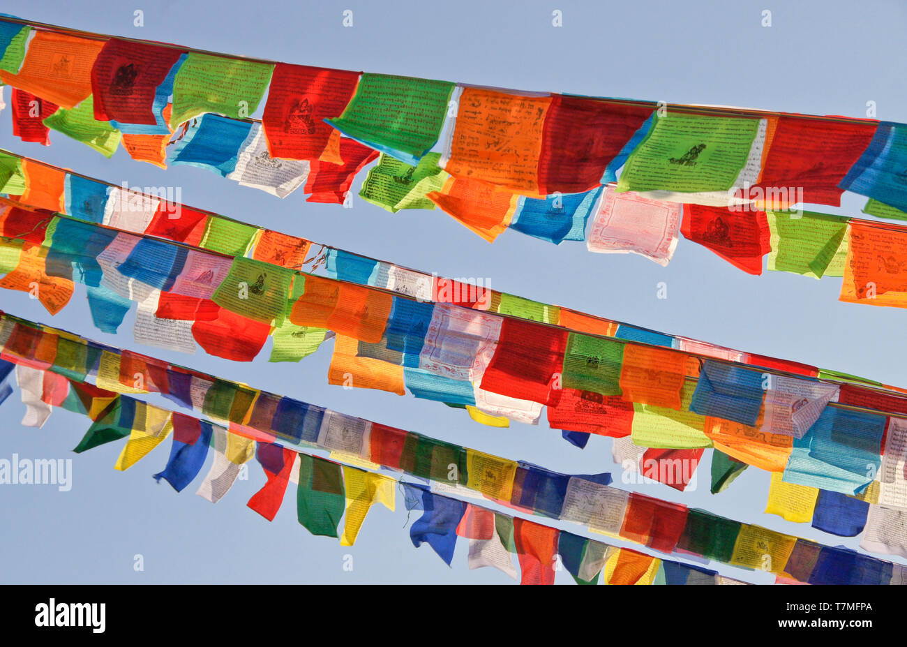 Prayer Flag Designs