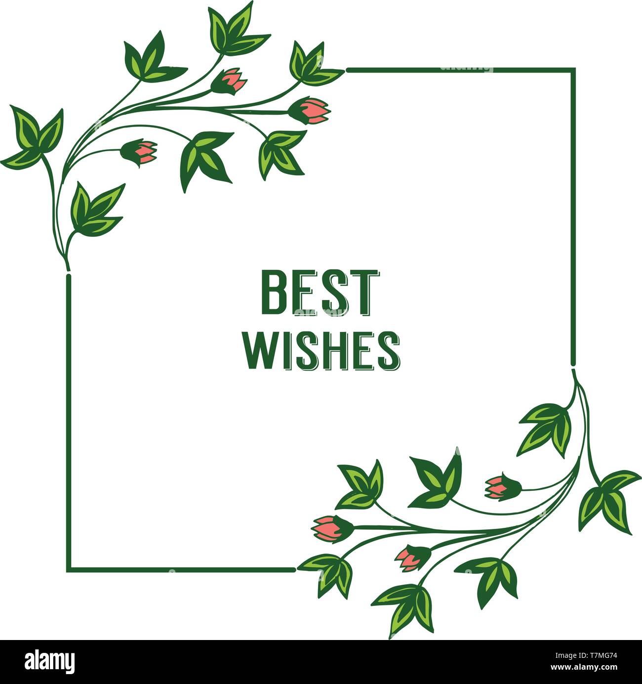 Vector illustration various pattern leaf floral frame for template best ...