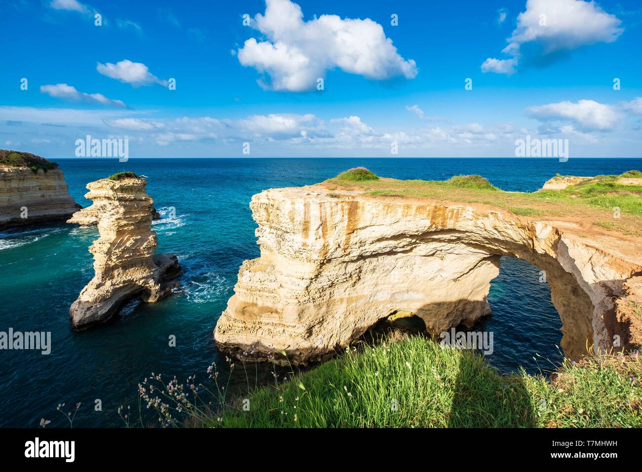 Italy, Apulia, Salento region, Torre Sant'Andrea, its jagged coastline ...