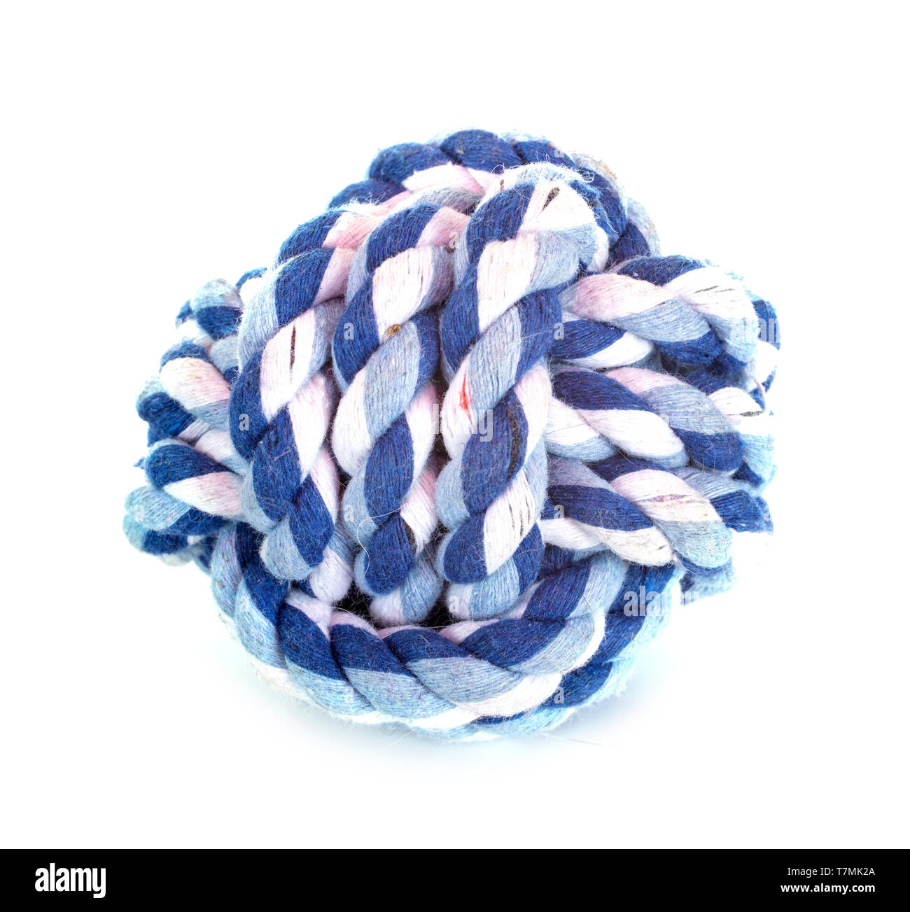 toy for dog in front of white background Stock Photo - Alamy