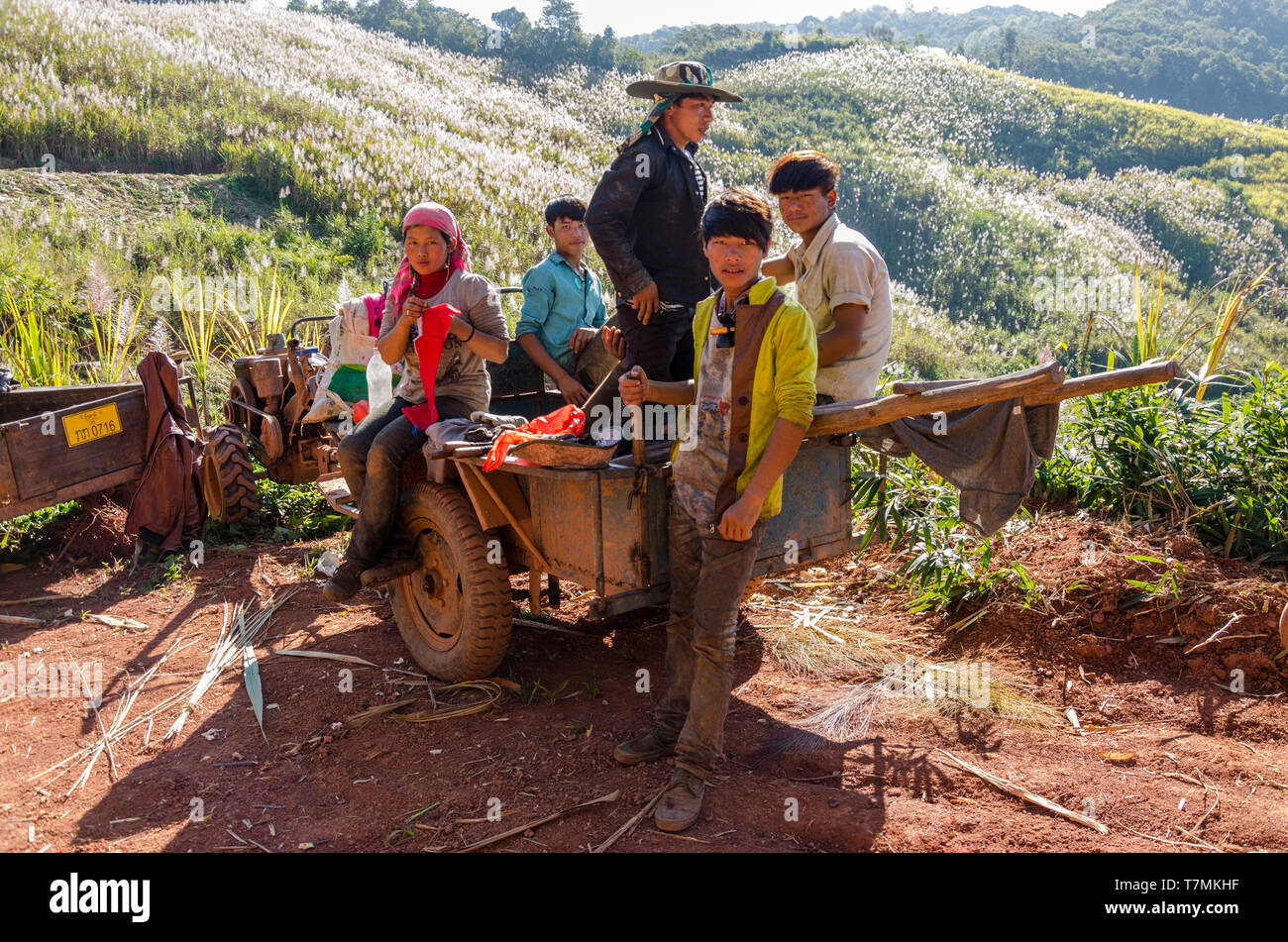 Hakka farmers in the Phongsali countryside, Phongsali, Laos Stock Photo ...