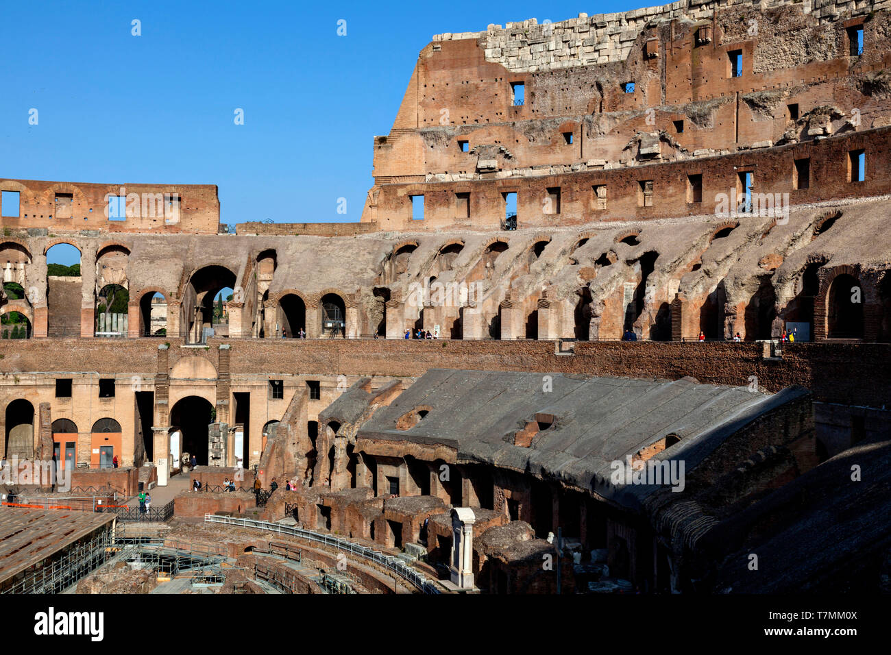 Colosseum amphitheatre ruins hi-res stock photography and images - Alamy