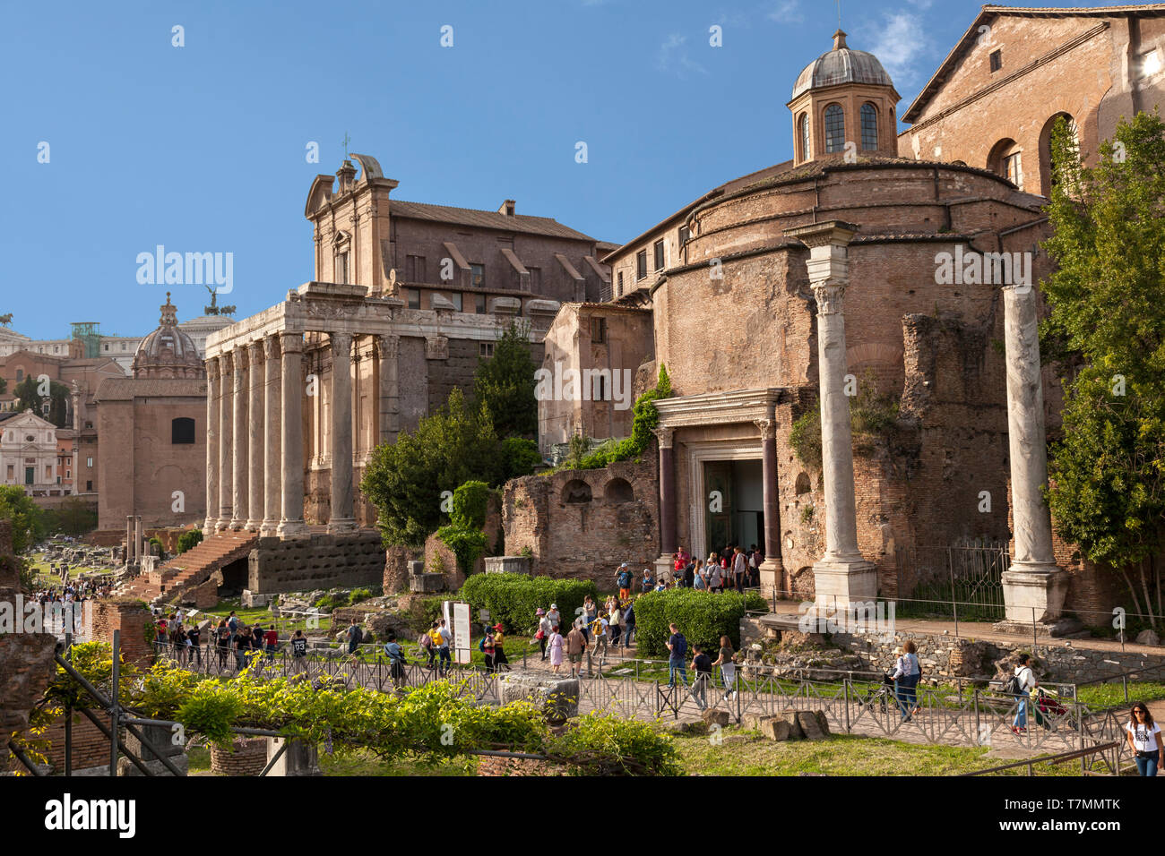 Foro romano rome italy hi-res stock photography and images - Alamy