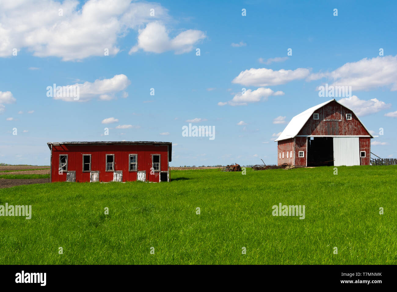 Wooden red farm buildings in open grass field on a Spring afternoon ...