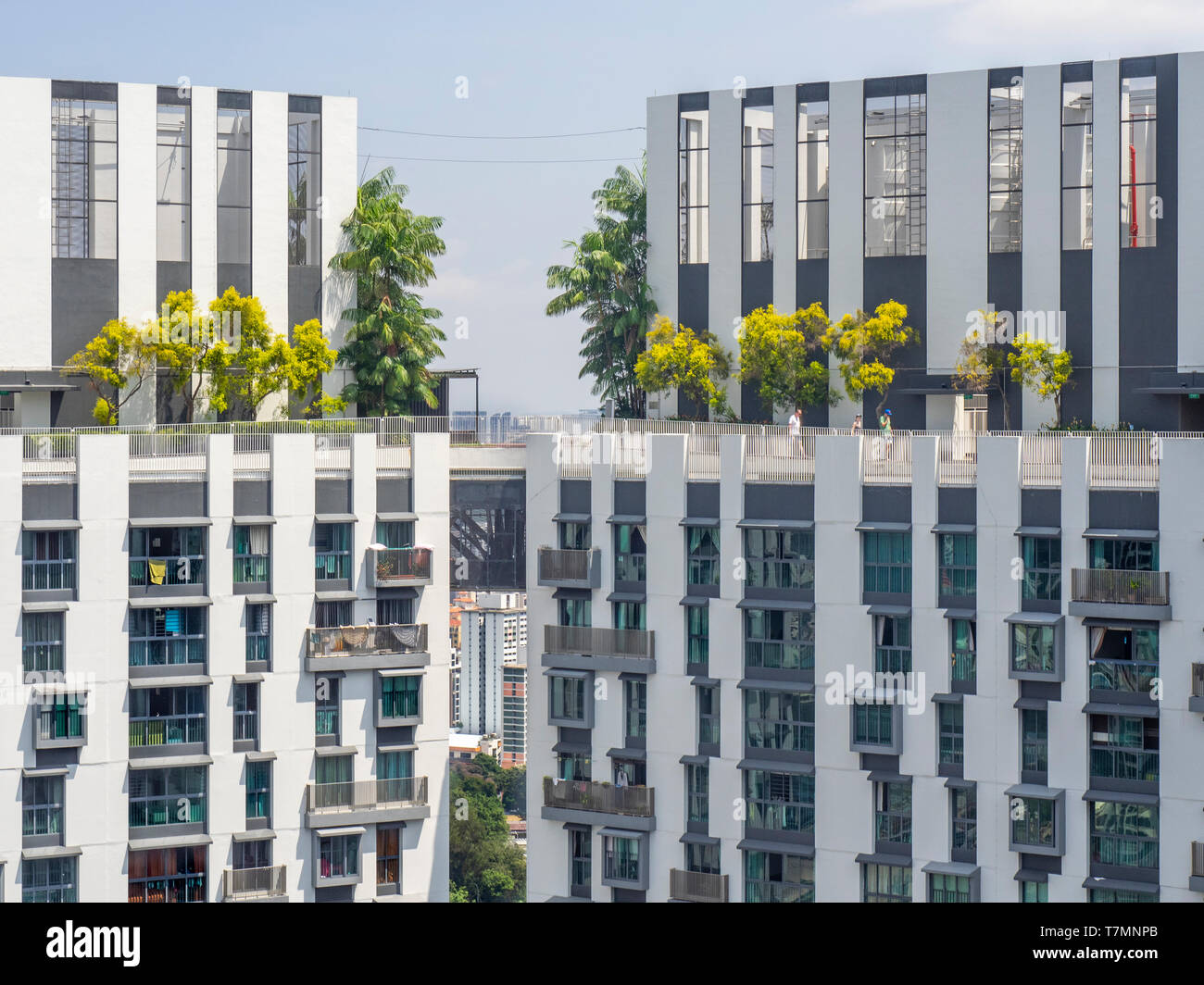 50th floor skygarden at Pinnacle@Duxton apartment complex Singapore ...