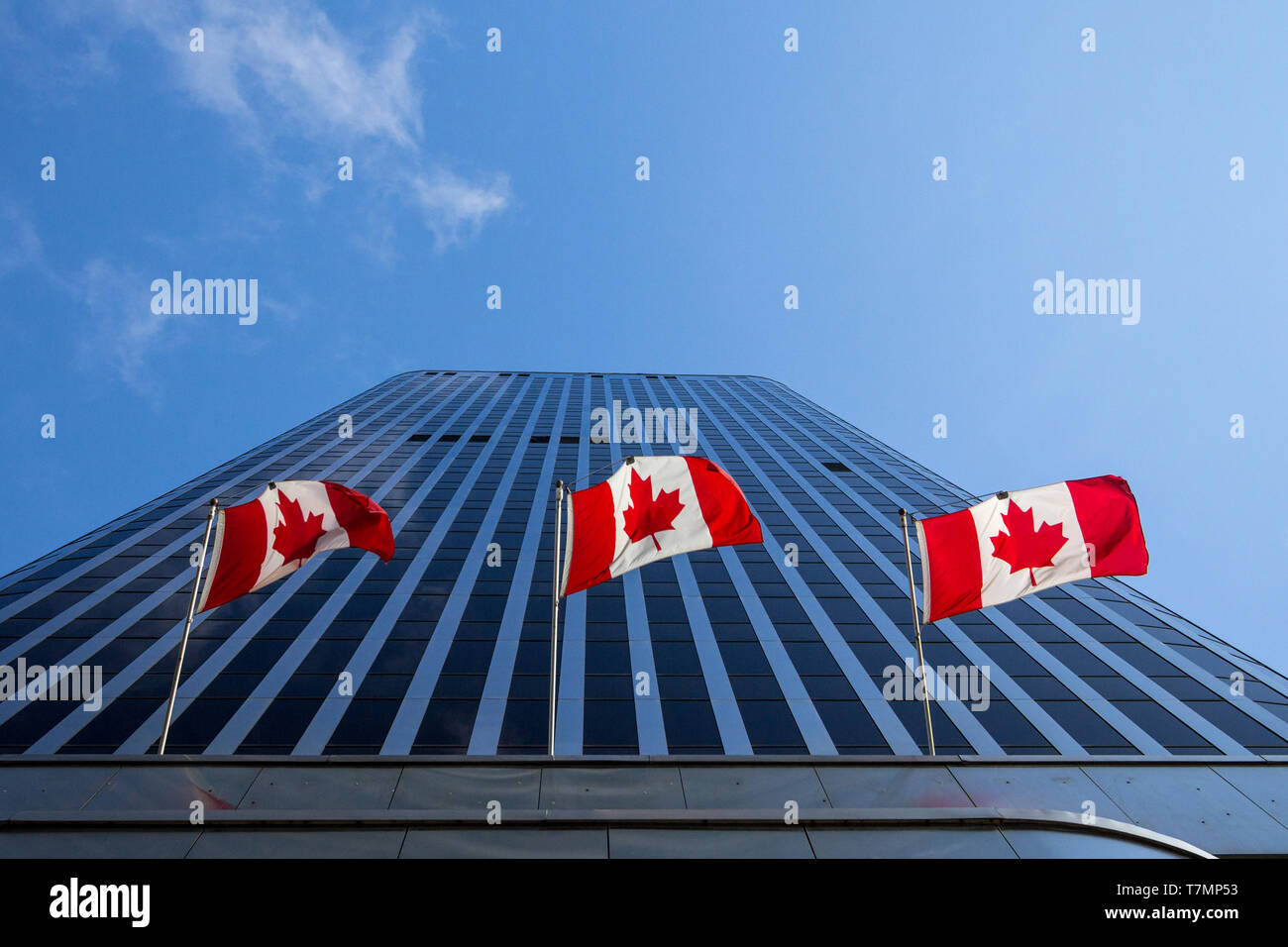 Three Canadian flags in front of a business building in Ottawa, Ontario, Canada. Ottawa is the ...